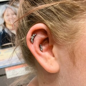 Silver Safari Piercing Prices